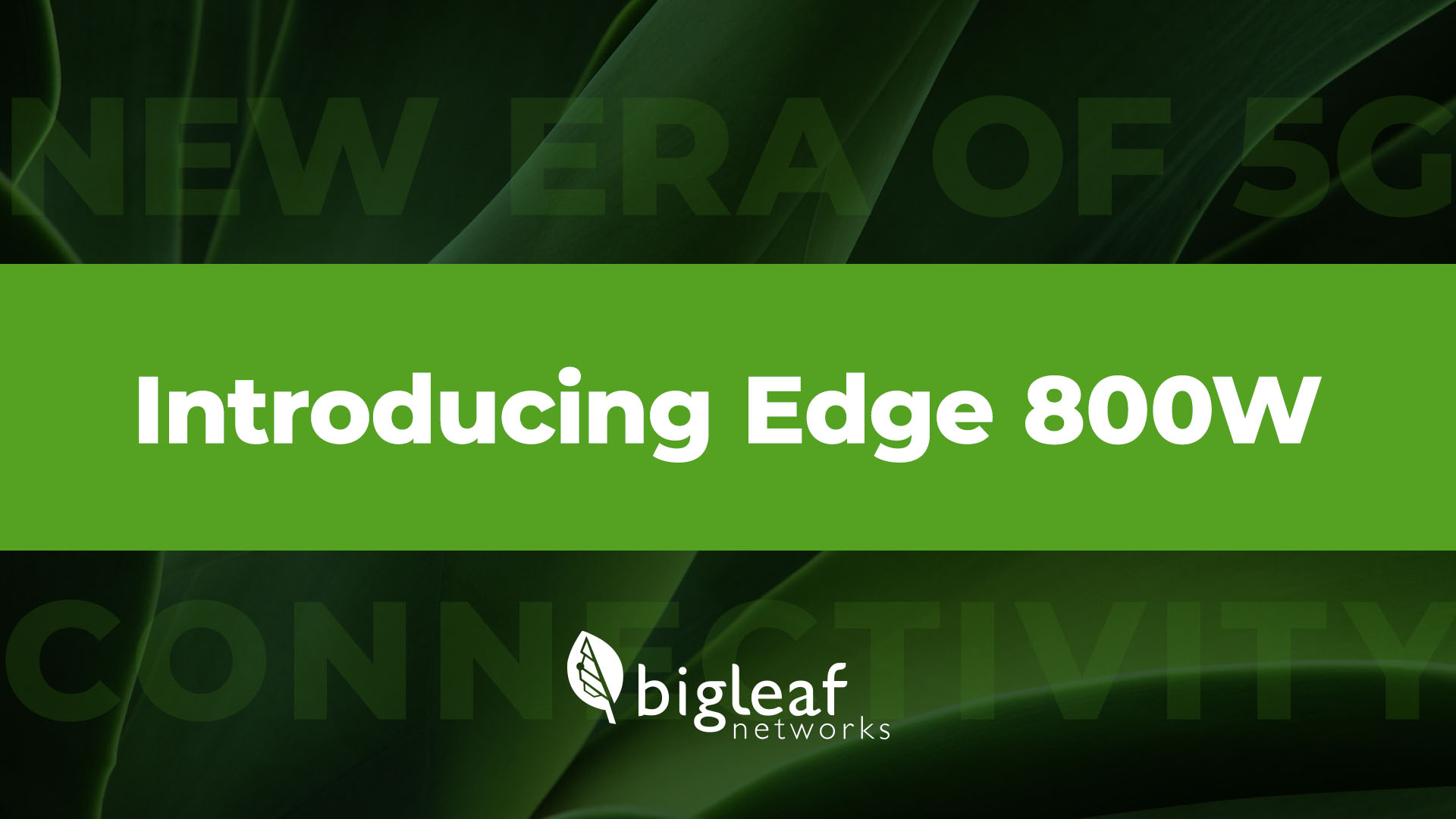 Introducing Bigleaf Bytes Live: A New Partner Resource