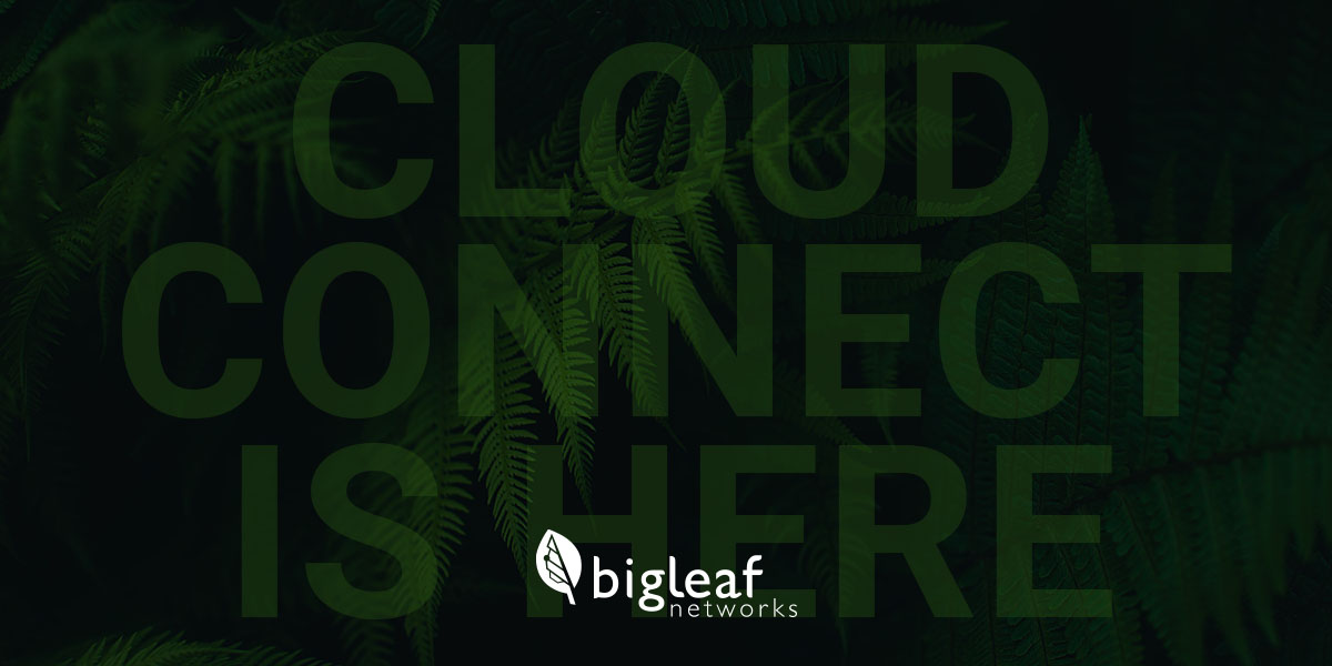Best wishes from Bigleaf